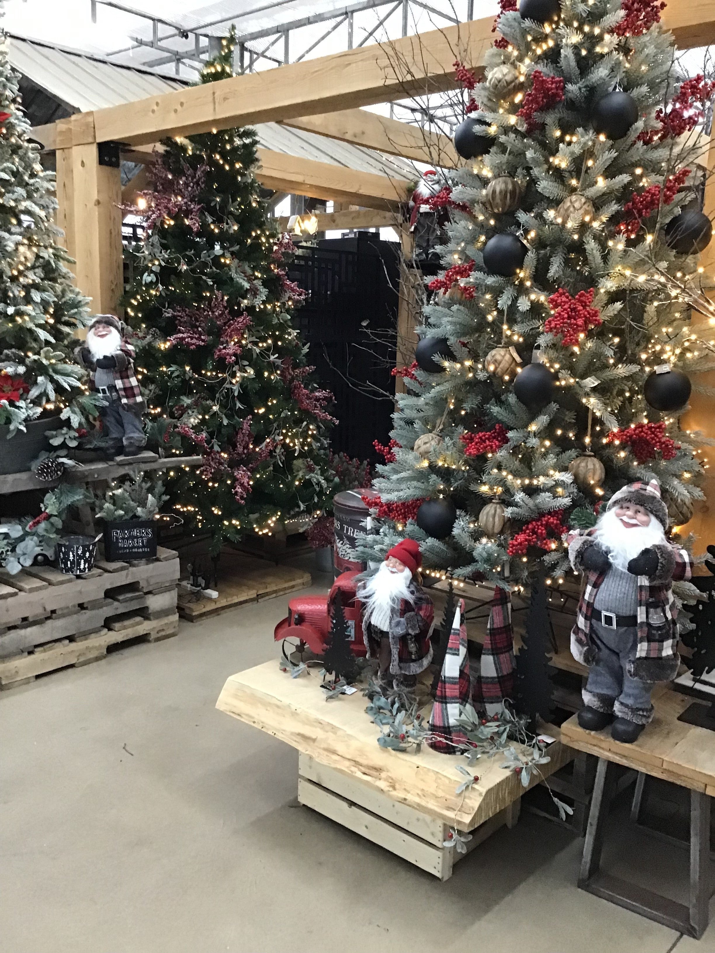 Noël – Jardinerie Fortier